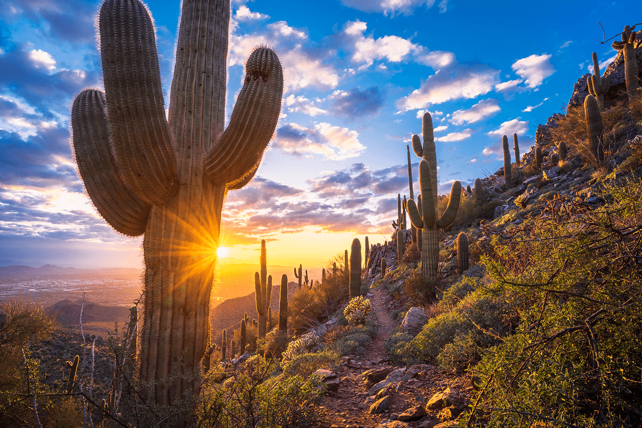 ARIZONA - PLACE